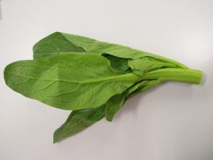 A Visual Guide to Common Chinese Vegetables | Welcome To China