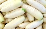 A Visual Guide to Common Chinese Vegetables | Welcome To China