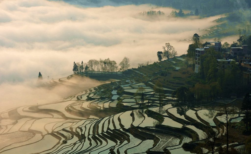 Yuanyang Rice Terraces of Yunnan – Travel Guide | Welcome To China